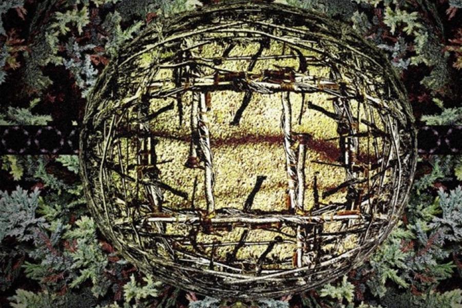 Sweetgrass Teaching Bundle | The Centre for the Advancement of Teaching and Learning ...